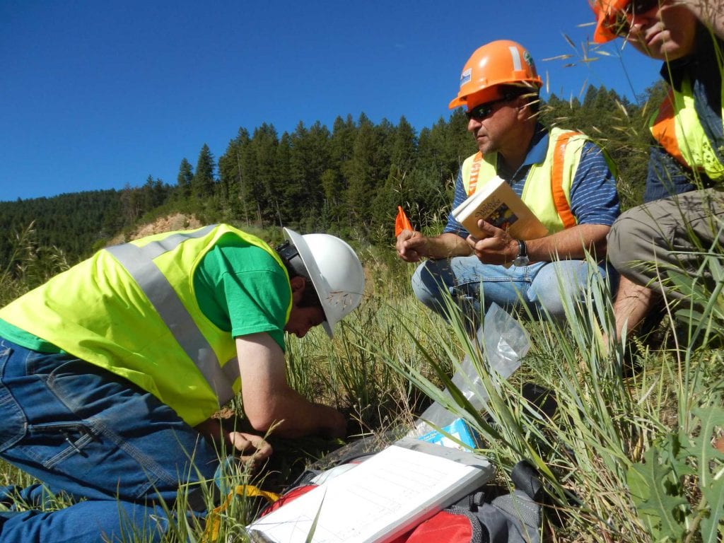 Best Management Practices | Stormwater | Environmental consulting firm ...