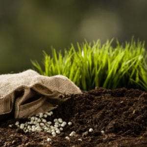 Soil Media Mixes Design | Soil | Environmental consulting firm based in ...