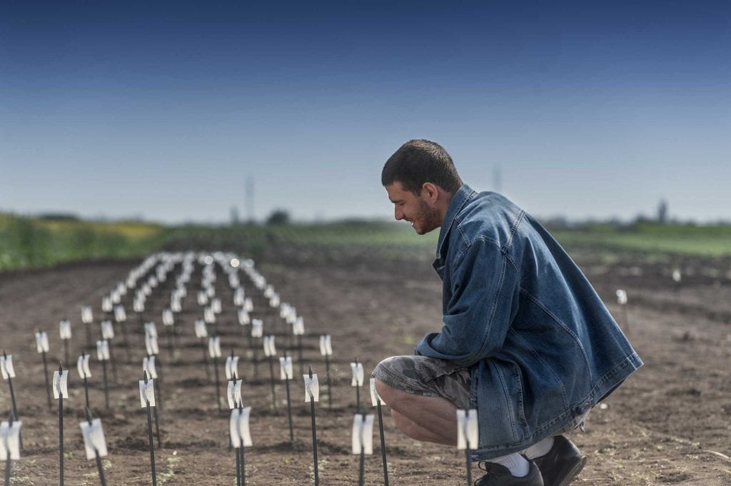 Invasive Weed Inventory | Weed Management | Environmental consulting ...